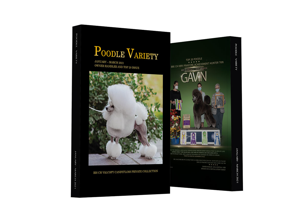 Poodle Variety – Magazine