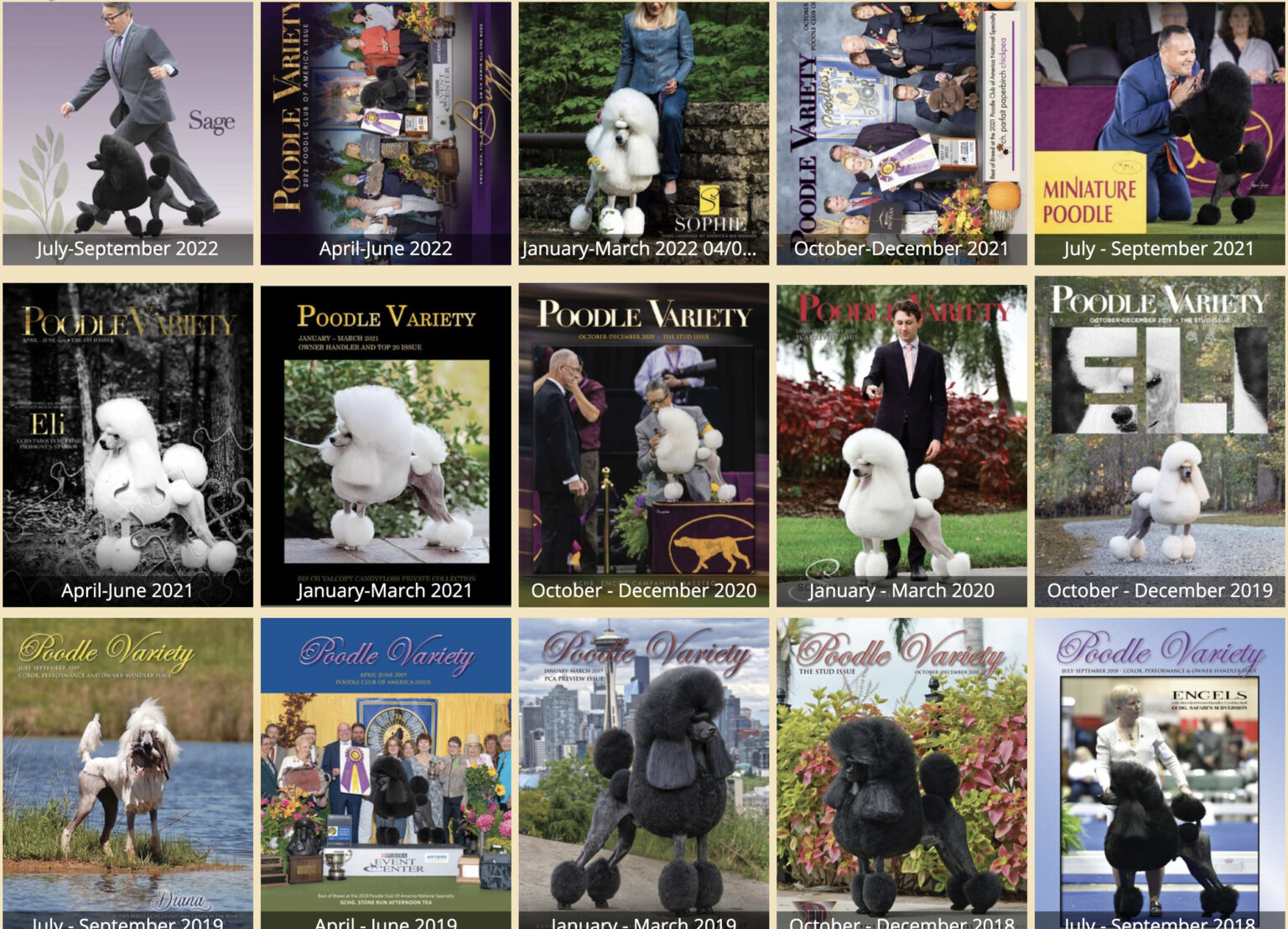 Poodle Variety – Magazine